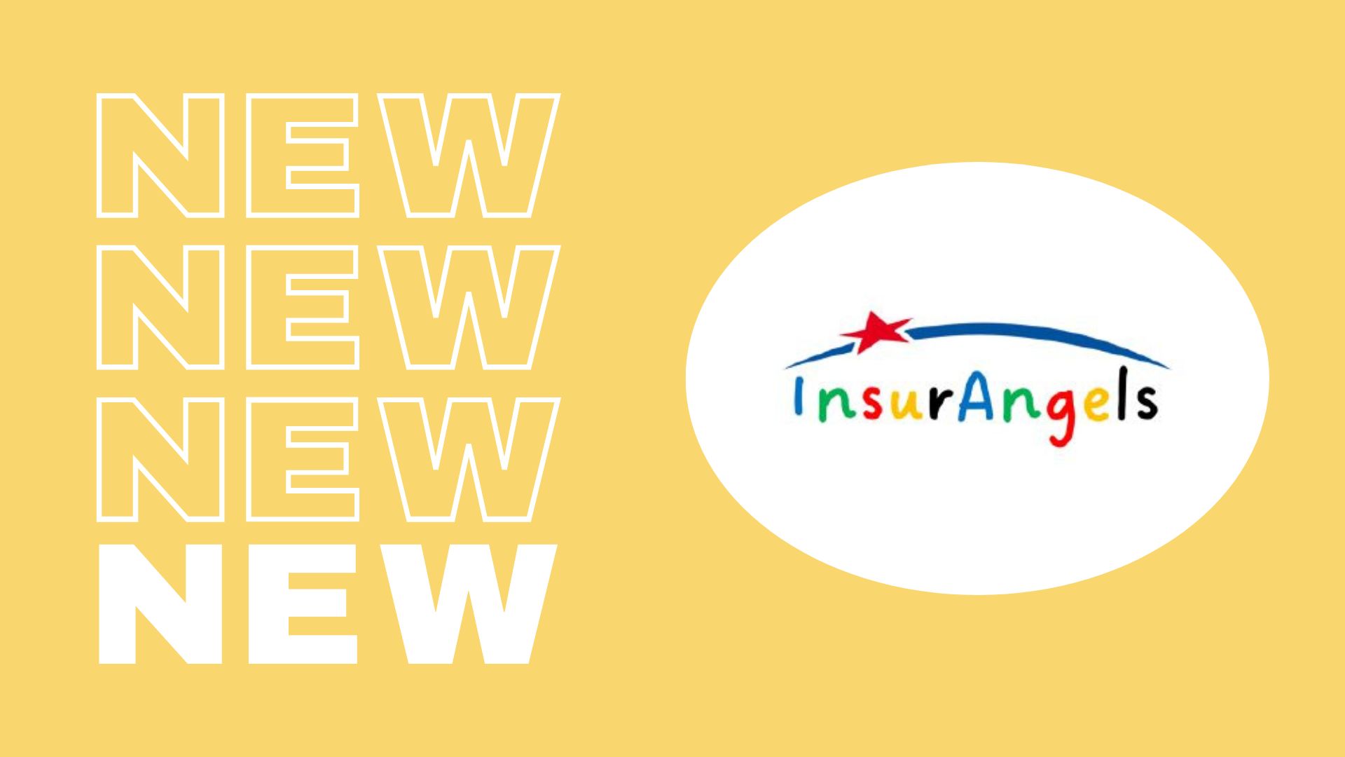 BFC Angels a tout confiance en Skopai - France Angels